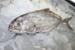 รวม 15 ปลาไทย โอเมก้า 3 สูง กินแล้วฉลาด ความจำดี - Amarin Baby & Kids