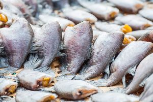 รวม 15 ปลาไทย โอเมก้า 3 สูง กินแล้วฉลาด ความจำดี - Amarin Baby & Kids