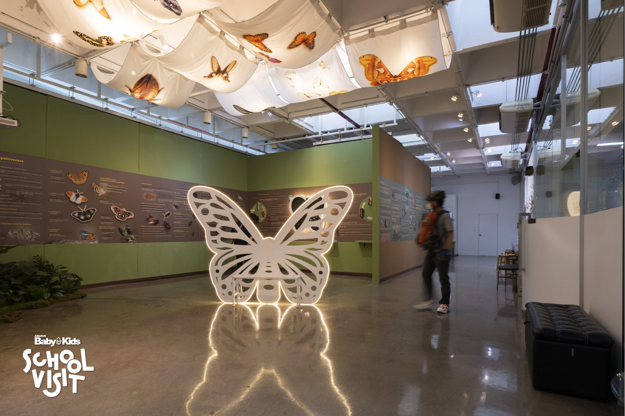 นิทรรศการ Beauty and the Beast เรียนรู้เรื่องผีเสื้อและแมลงสาบ ที่ ...