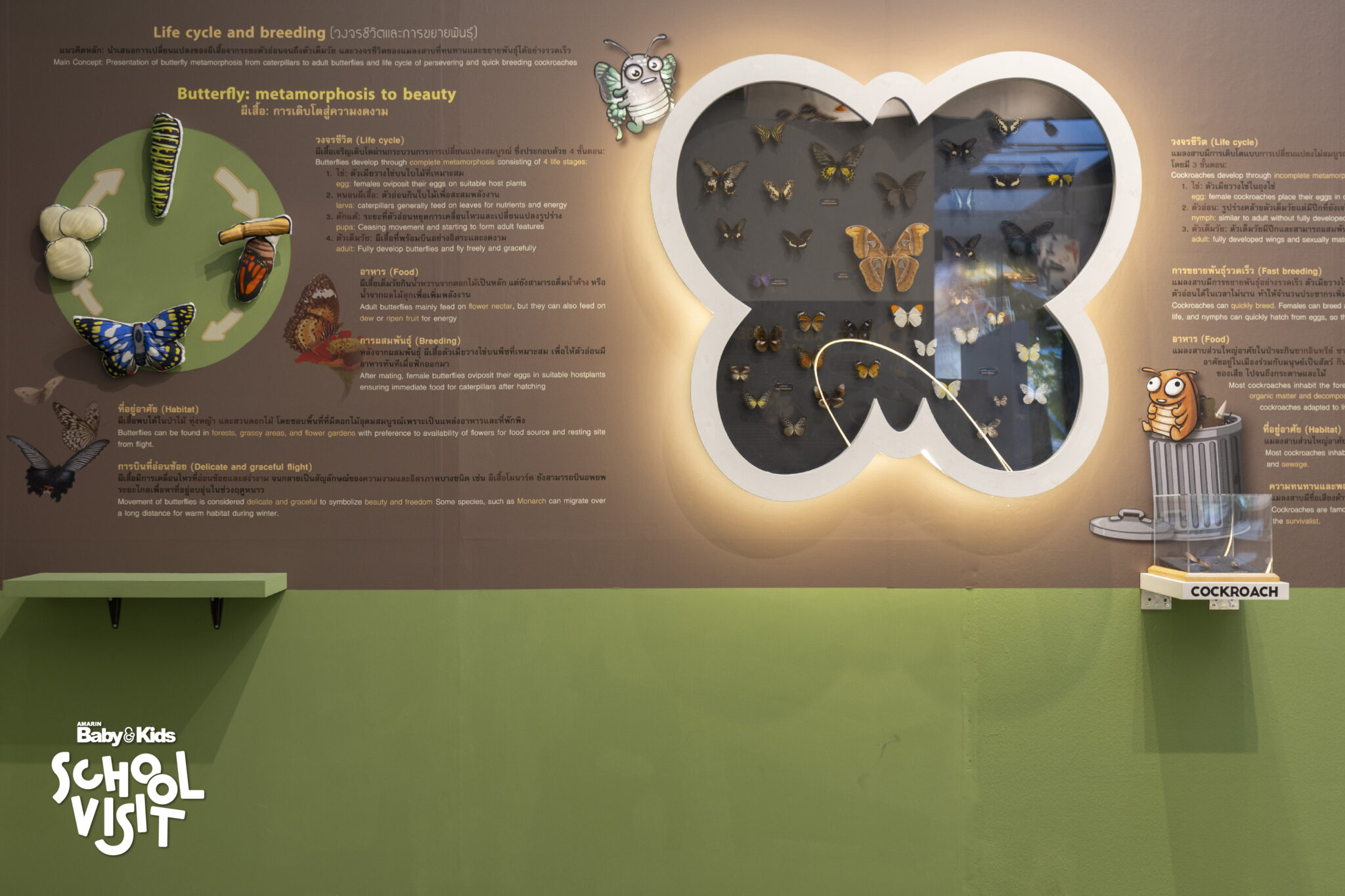 นิทรรศการ Beauty and the Beast เรียนรู้เรื่องผีเสื้อและแมลงสาบ ที่ ...