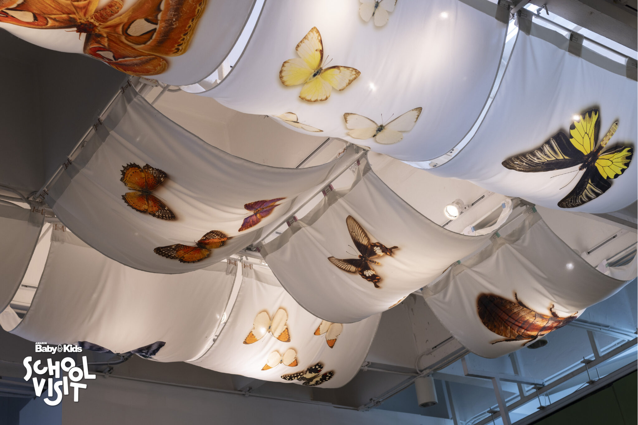 นิทรรศการ Beauty and the Beast เรียนรู้เรื่องผีเสื้อและแมลงสาบ ที่ ...